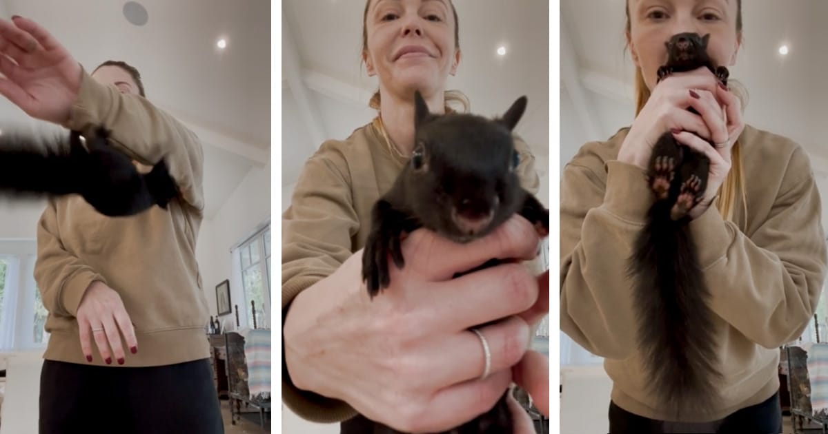 Squirrel Who Was Saved by Humans Comes to Visit Every Day