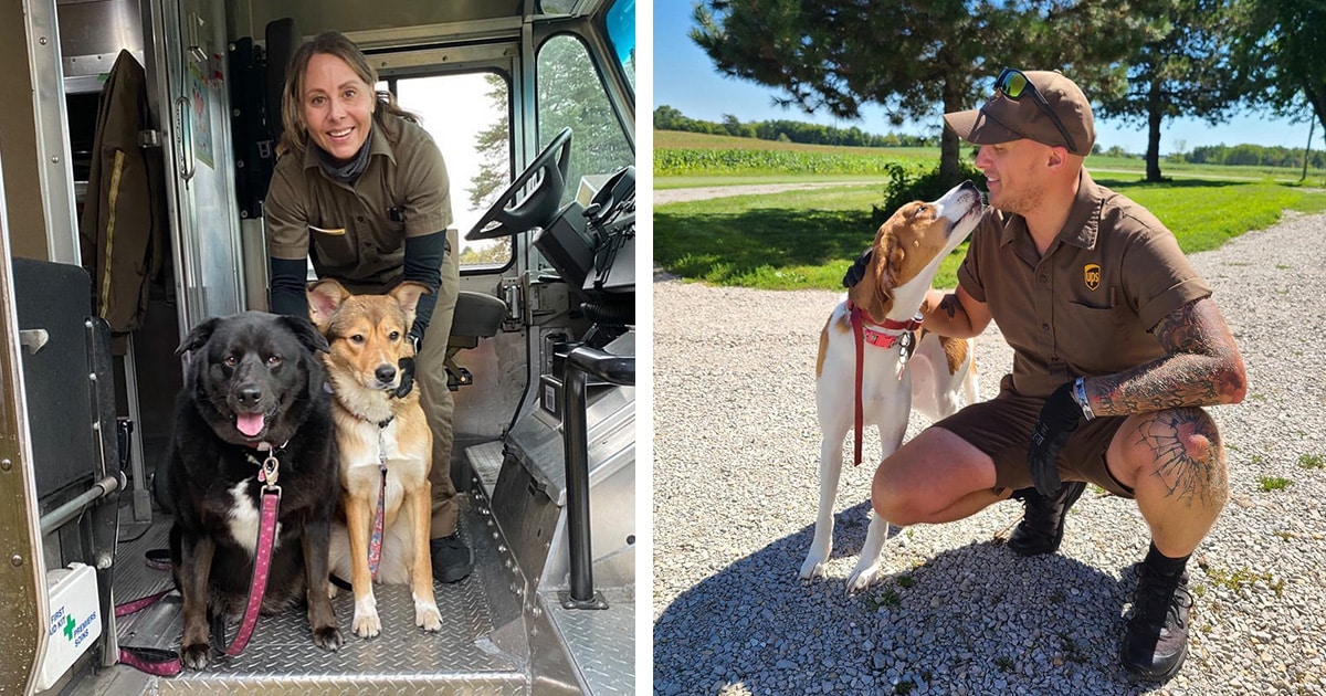UPS Drivers Share the Friendly Dogs They Meet on the Job
