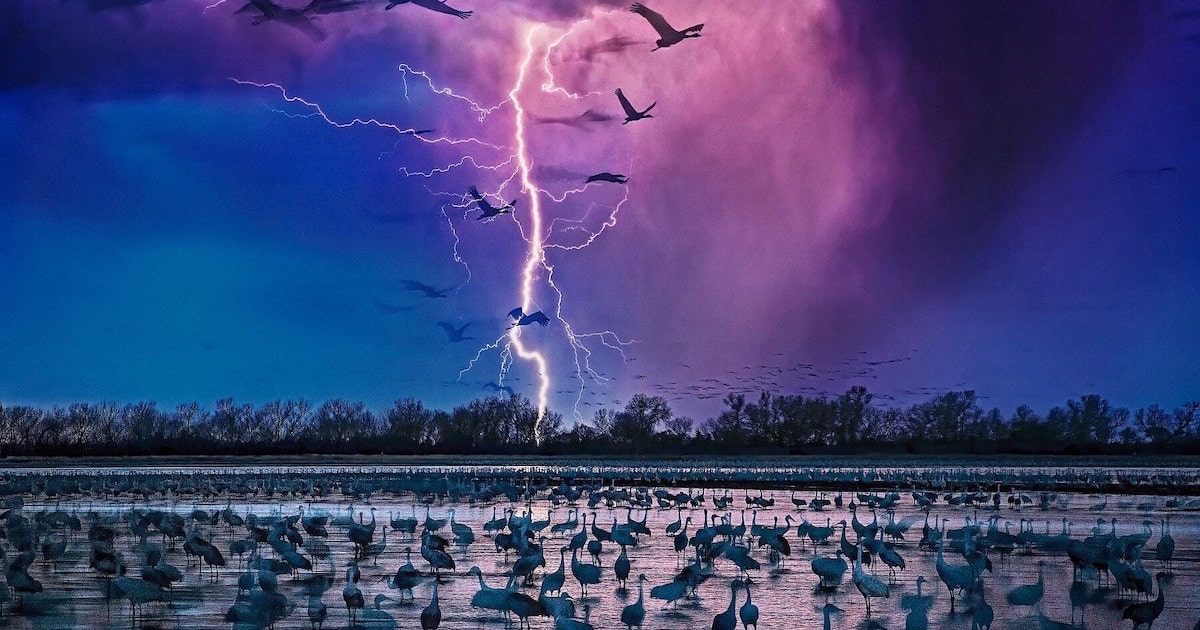 100 Photographers Sell Work to Raise Money for the Environment