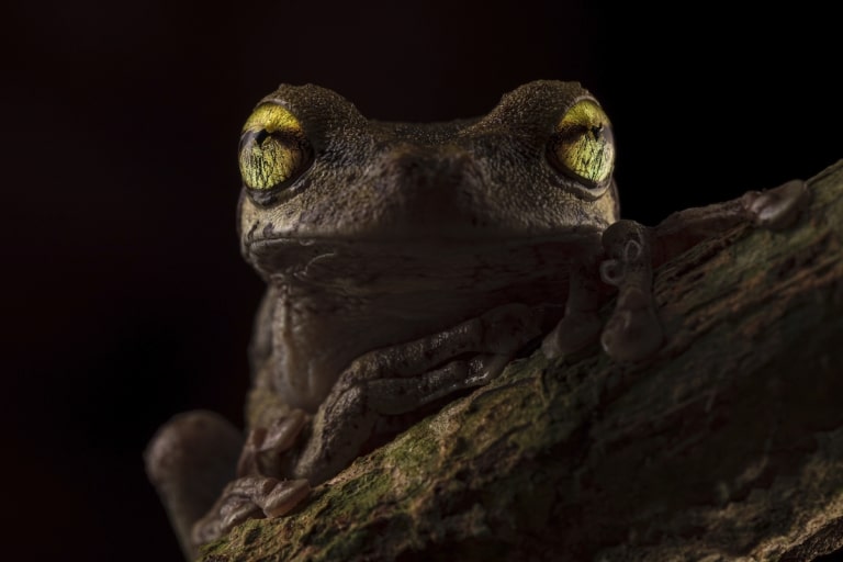 Incredible Winners of the British Ecological Society Photo Contest