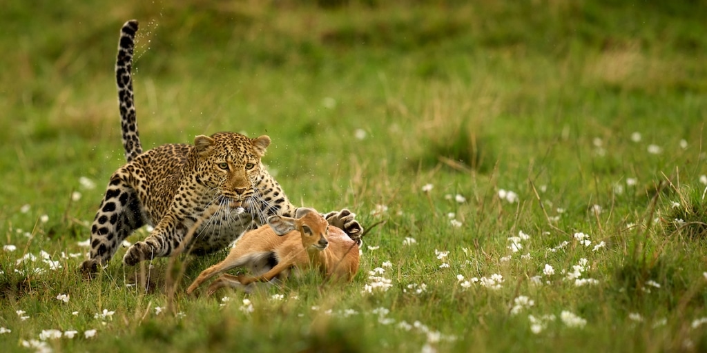 Incredible Winners of the British Ecological Society Photo Contest