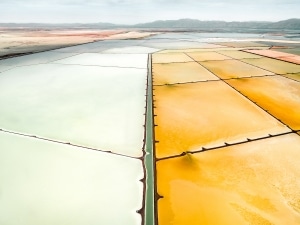 New Book Shows Abstract Beauty of Salt Ponds