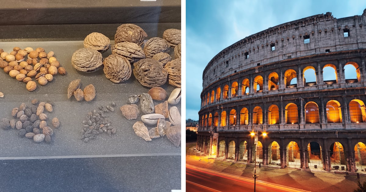 1,900-Year-Old Snacks Are Found in the Sewers of the Colosseum
