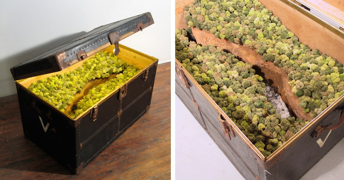Artist Builds Detailed Little Landscapes Inside Antique Suitcases
