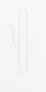 Learn How to Draw a Cactus in x Steps