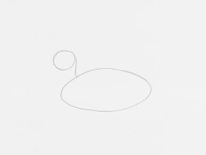 Learn How to Draw a Duck in 14 Steps