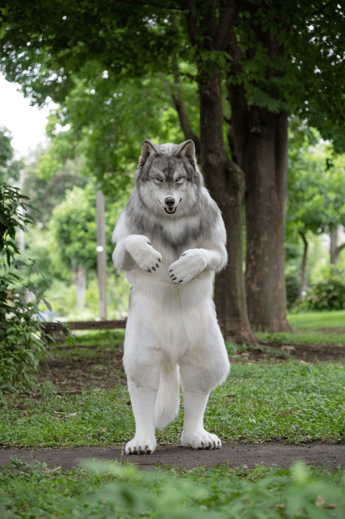 Man Spends $23,000 on a Lifelike Wolf Costume to Escape Reality