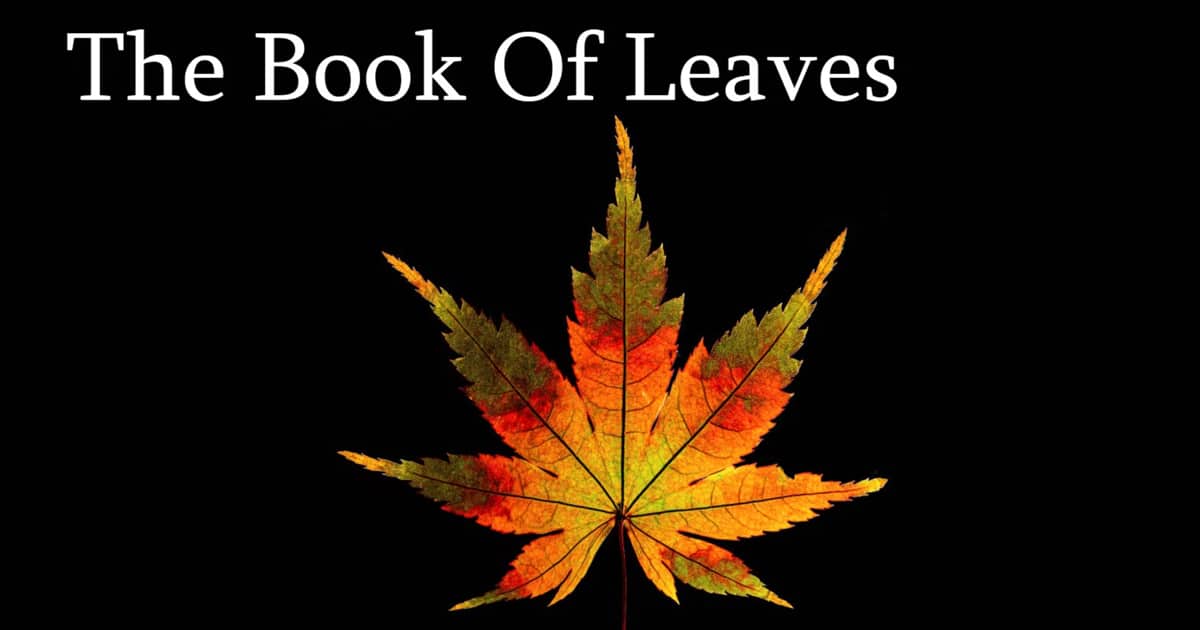 This Amazing Stop-Motion Video Features 12,000 Leaves