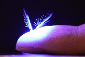 Dandelion-Like “FAIRY” Robots Can Help with Pollination