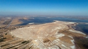 Archeologists Find Preserved Food at Ancient Iraqi Tavern Site
