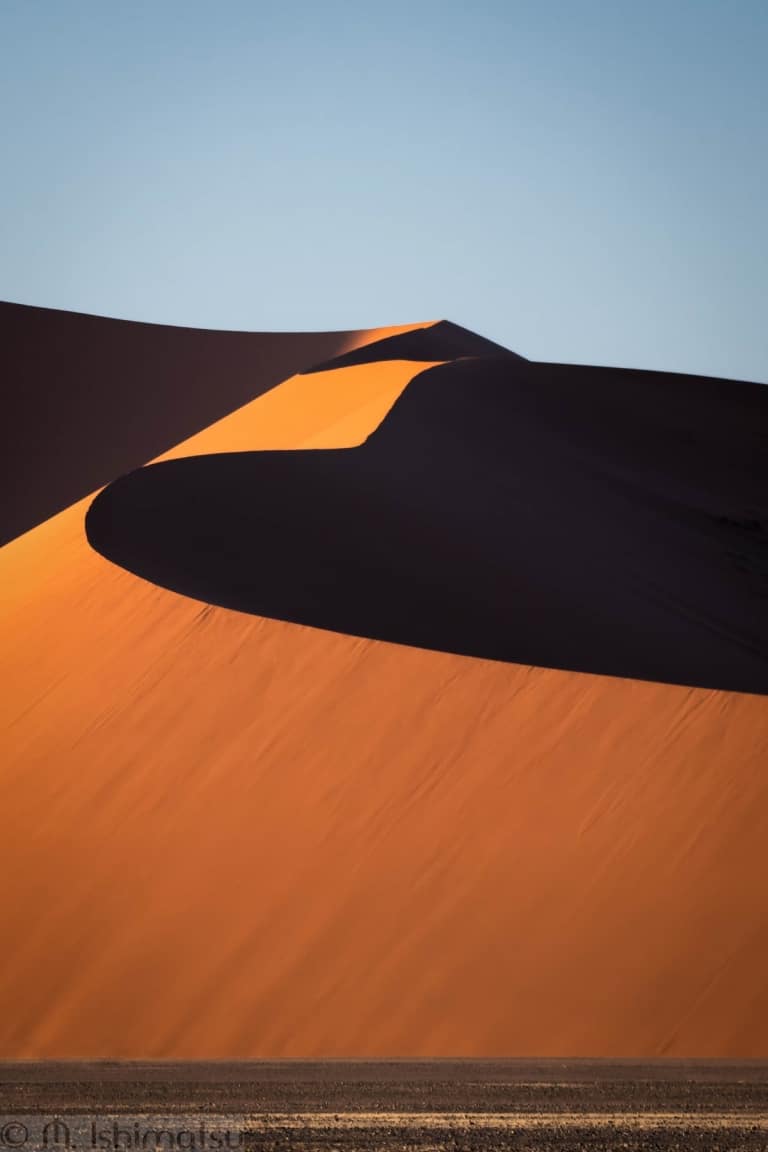 Photographer Spends 10 Days Tracking Down Snakes in Namibia