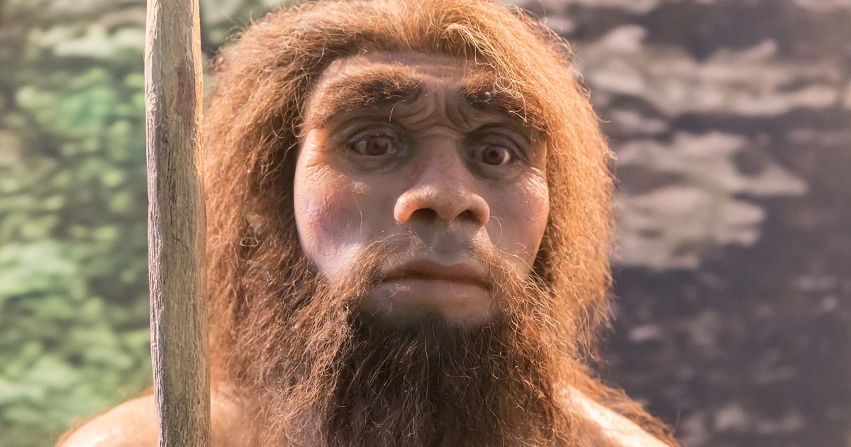 Human Family Tree Traces 27 Million Ancestors Back In Time