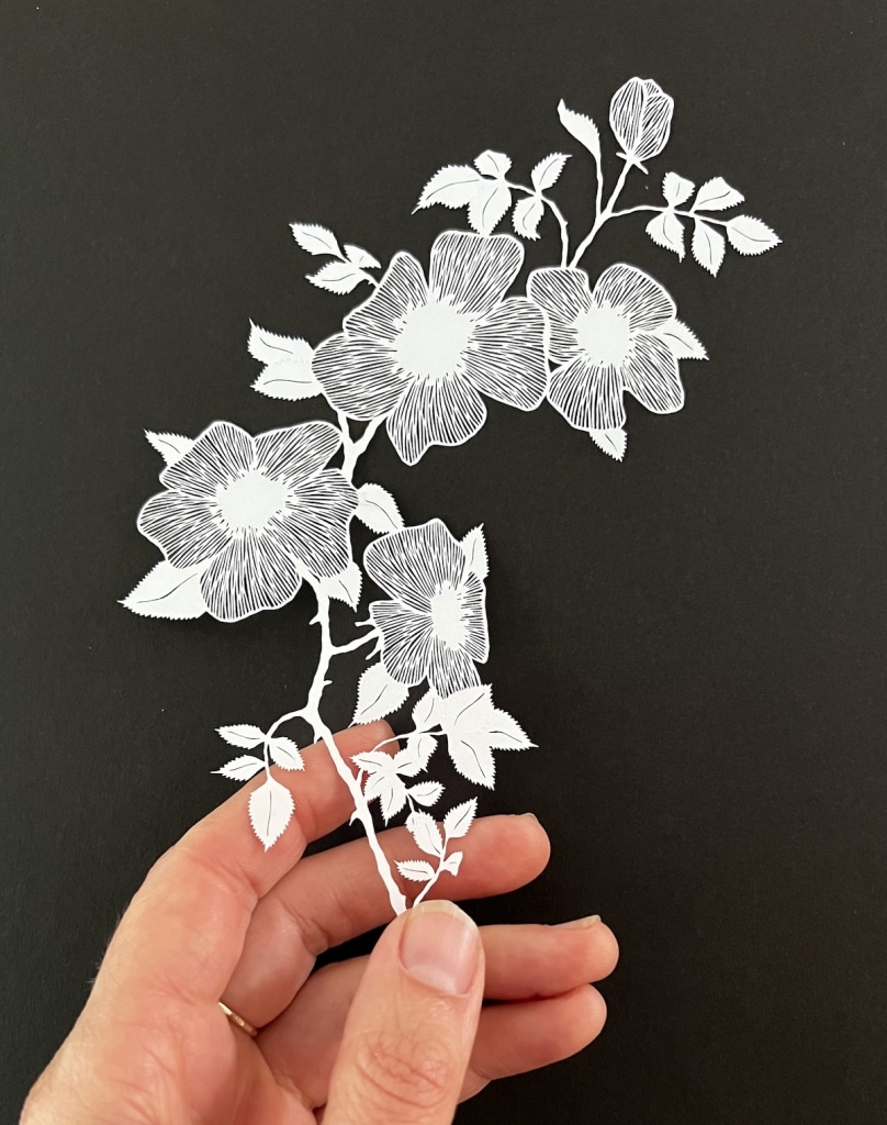 Intricate Cutouts Capture the Delicate Durability of Nature With a ...
