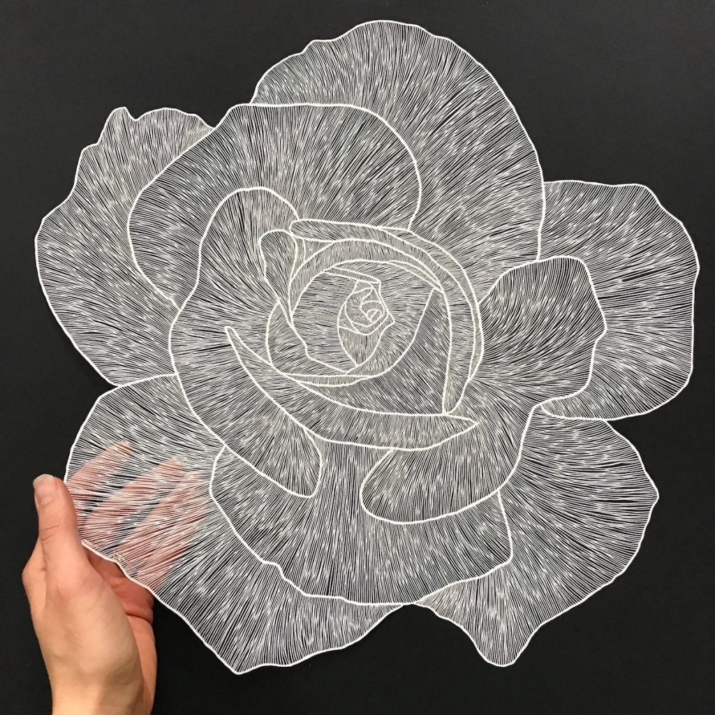 Delicate Paper Cutouts Capture Beauty of Plants and Animals