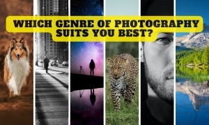 Which Genre of Photography Suits You Best? [Quiz]
