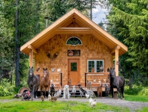 Charming Animal Portraits of Farm-ilies Across North America | My ...