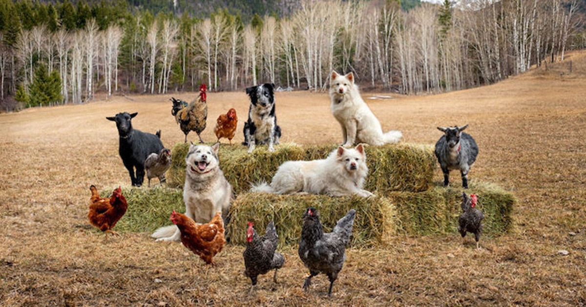 Charming Portraits Capture Farm-ilies from Across North America