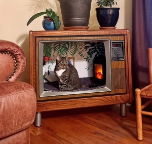Woman Transforms a 1980S TV Into a Cozy “Cat Apartment” for Her Feline ...