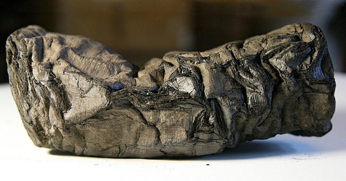 Vesuvius Challenge: Decipher the Ancient Scroll and Win Thousand