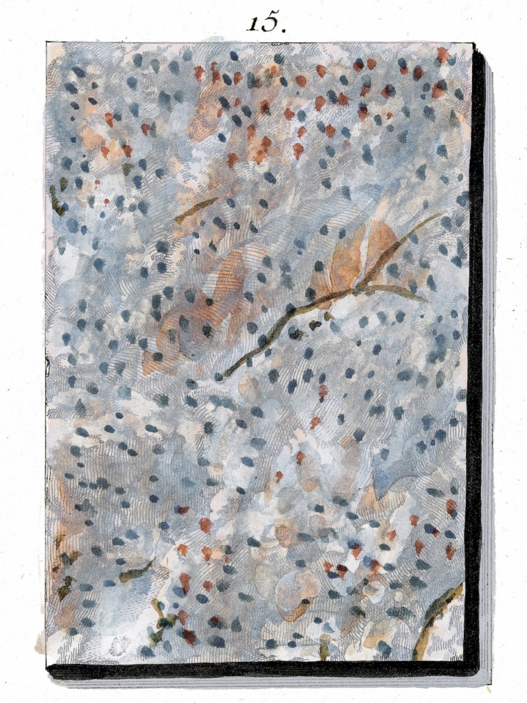18th-Century Book Invites You To Marvel at 570 Varieties of Marble in ...