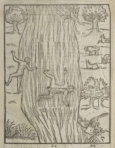 Explore this 16th Century Swimming Manual
