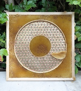 Thousands of Bees Help Finish This Amazing Embroidery Art