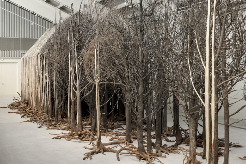 'Uprooted' Installation Art Uses 804 Trees to Talk Displacement
