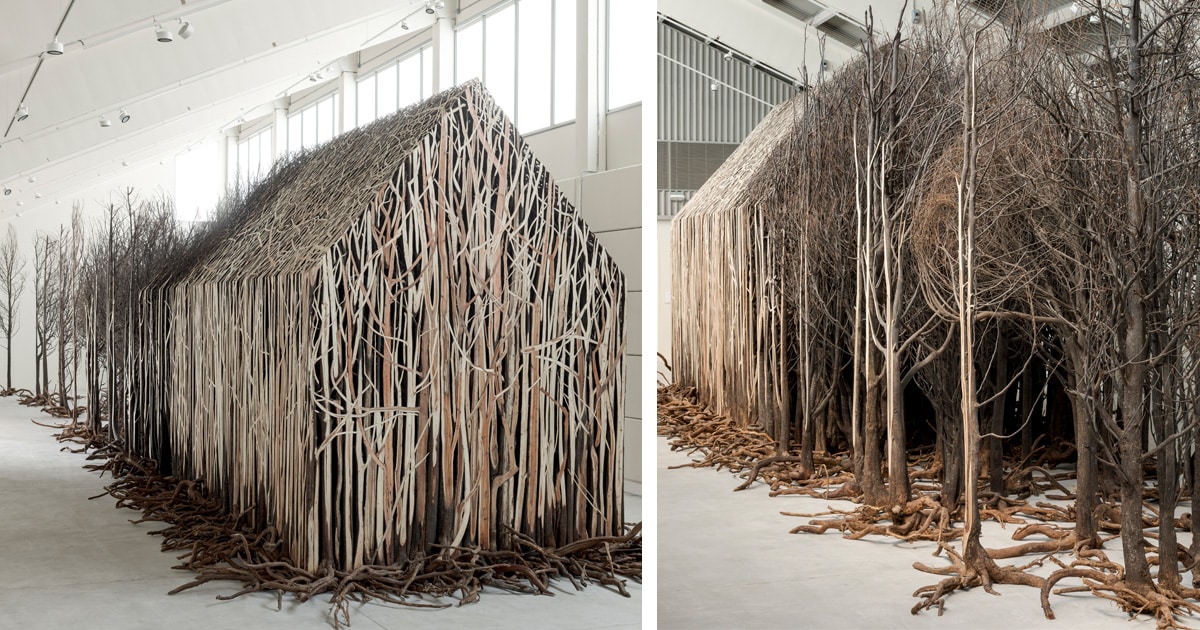 'Uprooted' Installation Art Uses 804 Trees to Talk Displacement