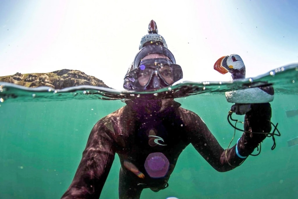 Photographer Wears a Decoy to Blend In With Puffin Colony