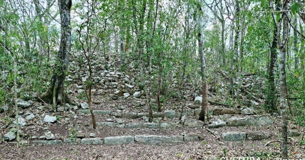 Mayan City Discovered Under Jungle Forests
