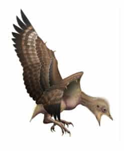 Feathers From 99 Million Years Ago Shed Light on Fate of Dinosaur