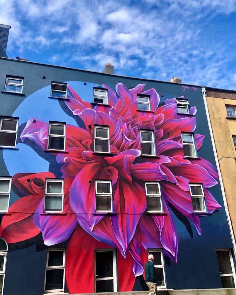 Street Artist Paints Sides of Buildings With Vibrant Flower Murals