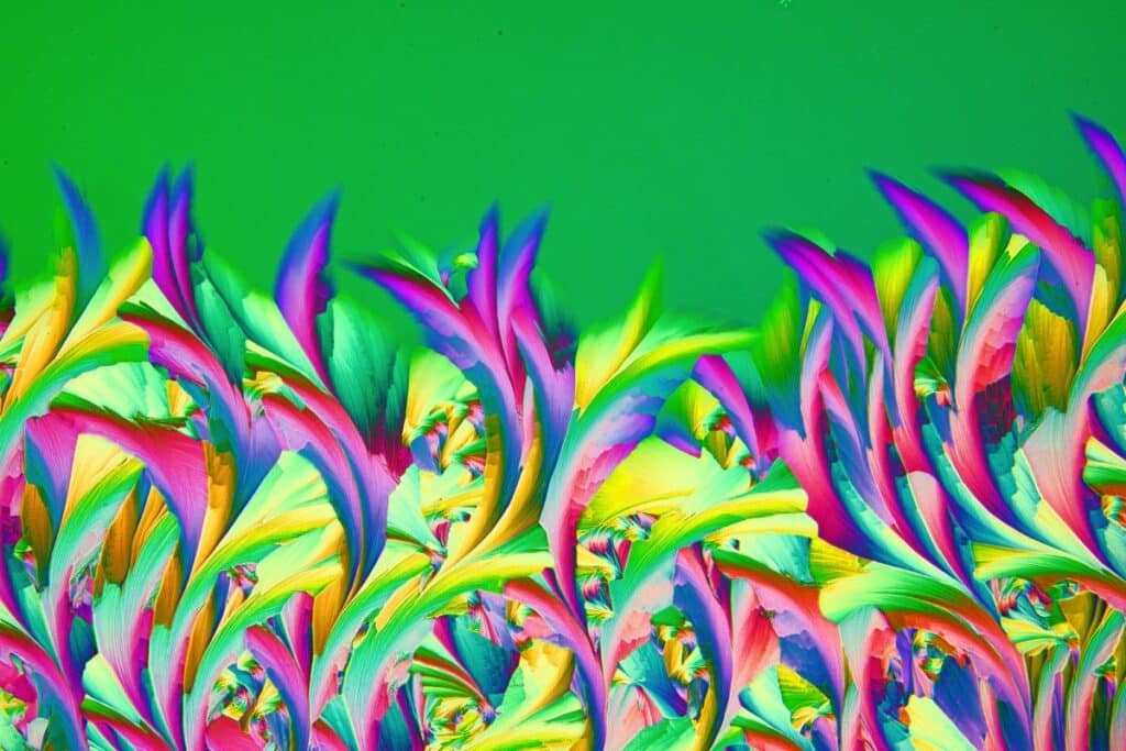 Incredible Winners of Light Microscopy Awards