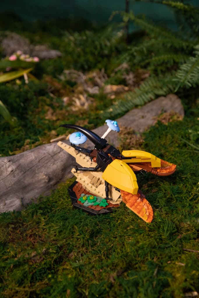 LEGO Introduces ‘The Insect Collection’ With Accompanying ASMR Playlist ...
