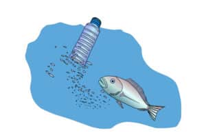 New Plant-Based and Biodegradable Filter Removes Over 99% Of ...