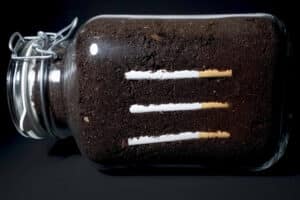 Timelapse Shows What Happens to Cigarettes in Soil for a Year