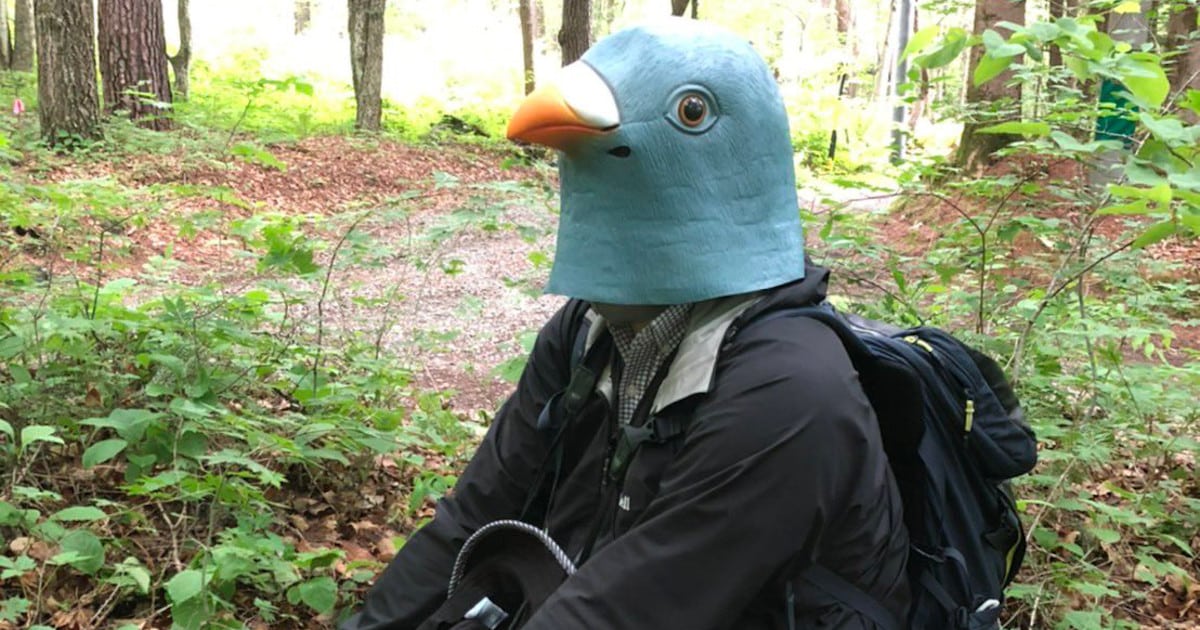 Ornithologist Wears a Bird Head to Earn the Trust of His Subjects