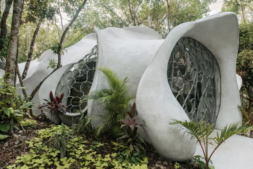 Organic-Shapes Architecture Offices Nestled in the Mayan Jungle
