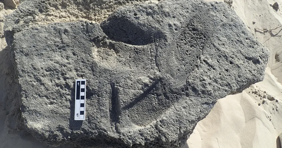 Fossilized Footprints Present Evidence of Earliest Known Shoes
