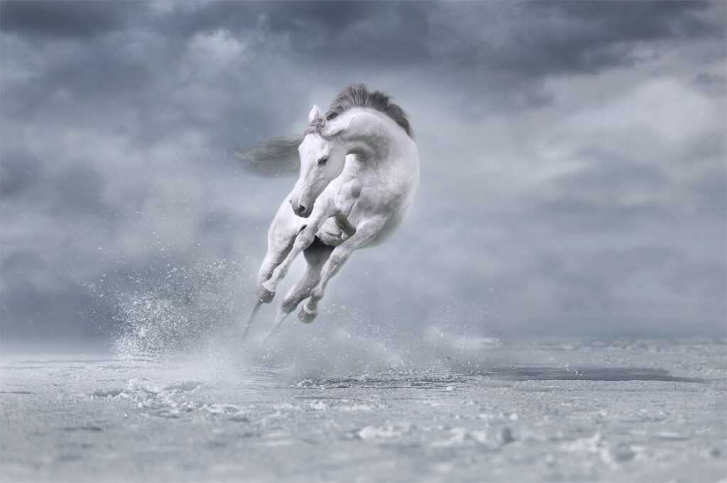 Remarkable Winners of the 2023 Creative Photo Awards