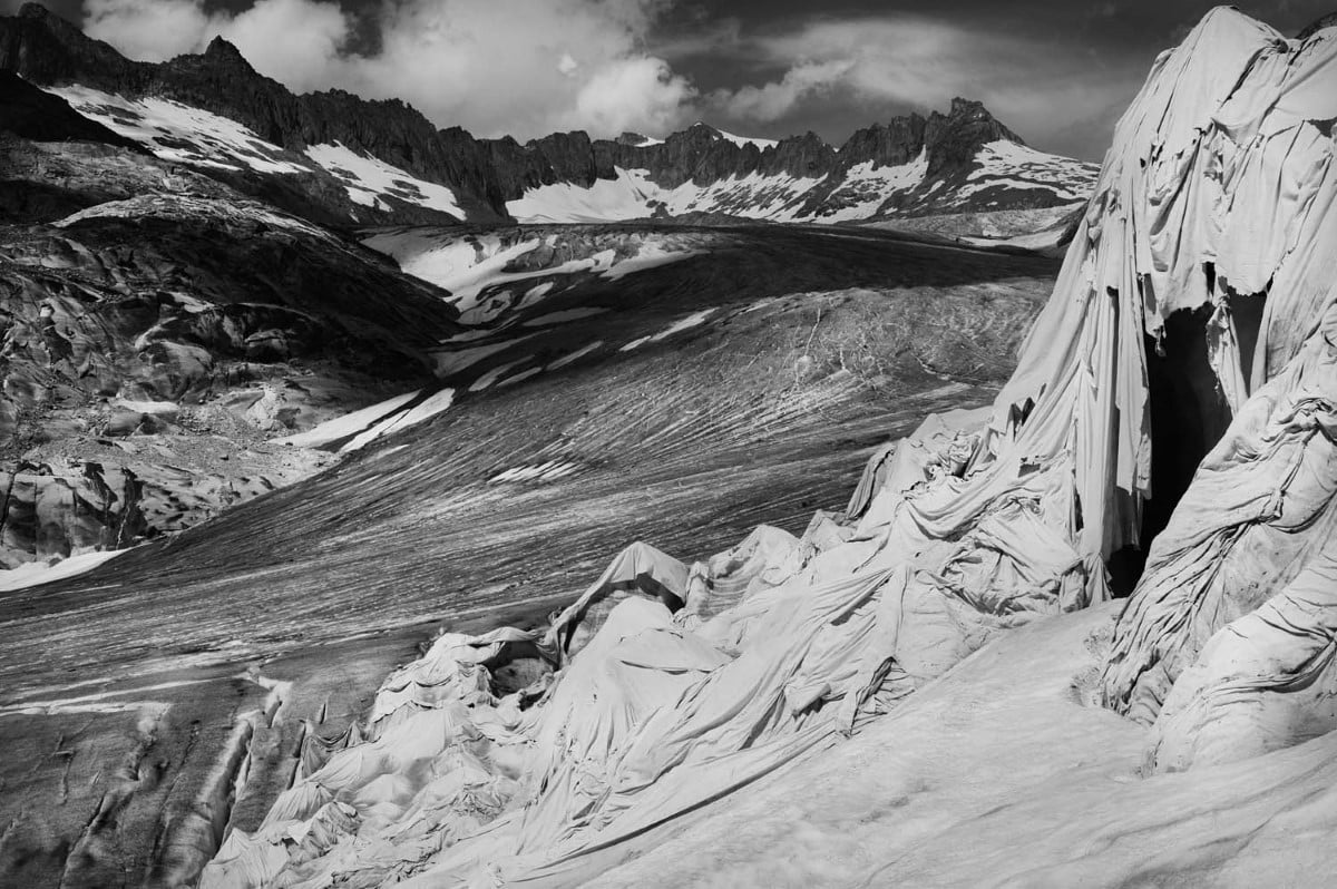 20 Incredible Winners From the 2023 European Wildlife Photographer of ...