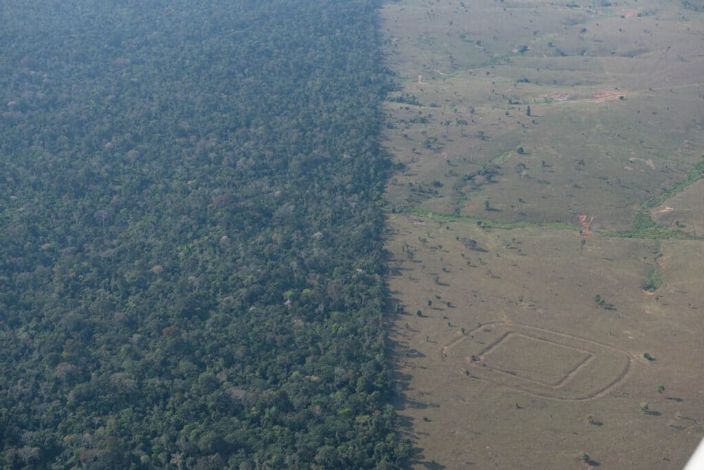 Aerial Photos Reveal Ancient Indigenous Earthworks Hidden in the Amazon ...