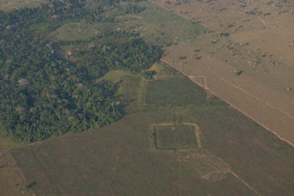 Aerial Photos Reveal Ancient Indigenous Earthworks Hidden in the Amazon ...