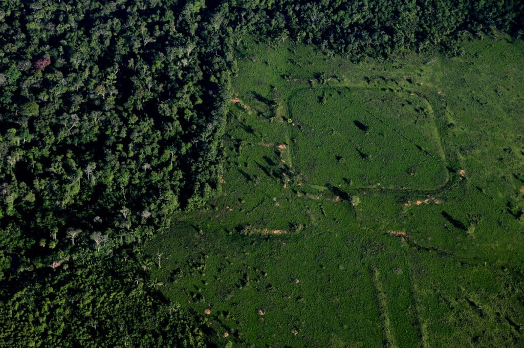 Aerial Photos Reveal Ancient Indigenous Earthworks Hidden in the Amazon ...