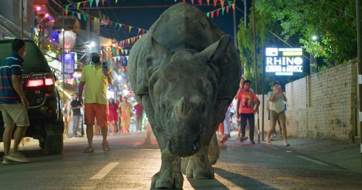 Watch the Trailer for BBC's 'Planet Earth III'