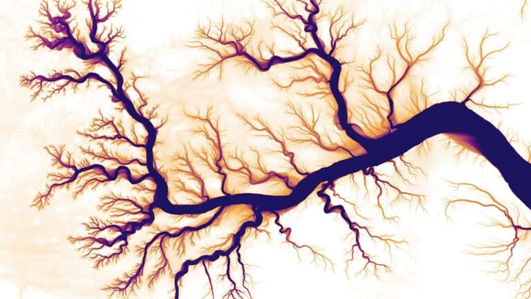Artistic Views of the World’s Rivers and Deltas Created Using Lidar ...