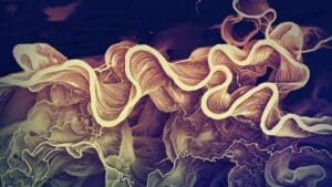 Artistic Views of the World's Rivers Created Using Lidar Data