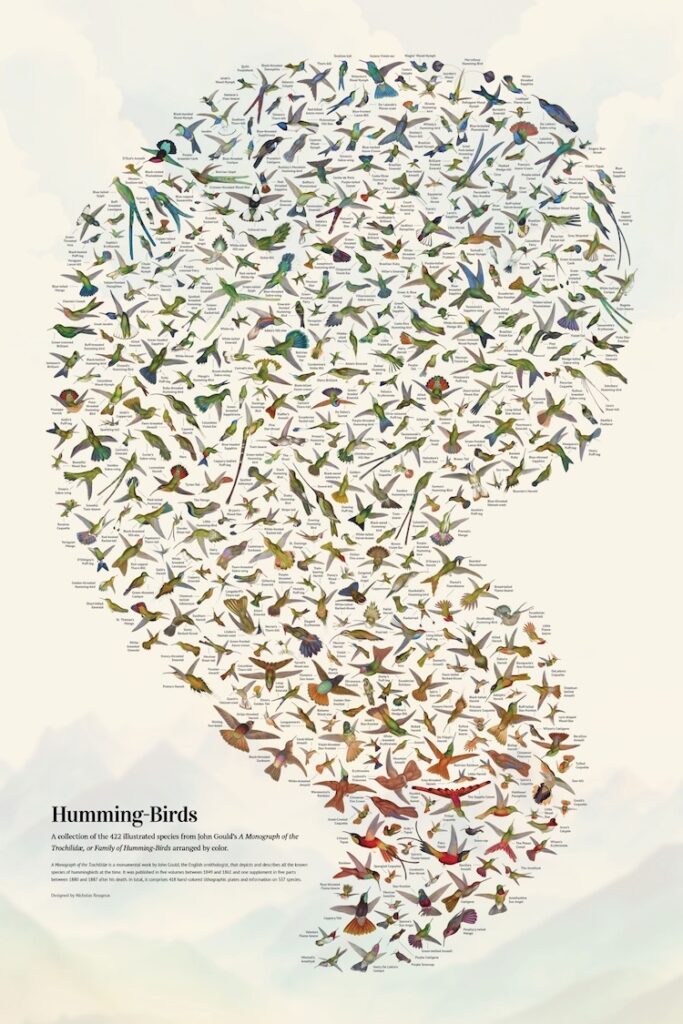 1800s Hummingbird Illustrations Are Artfully Arranged in New Poster