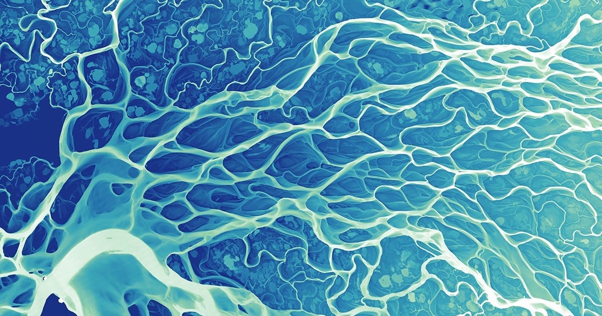 Artistic Views of the World's Rivers Created Using Lidar Data