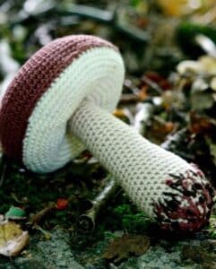 Crochet Artist Creates Colorful Flora, Fungi, and Seashells That Look ...